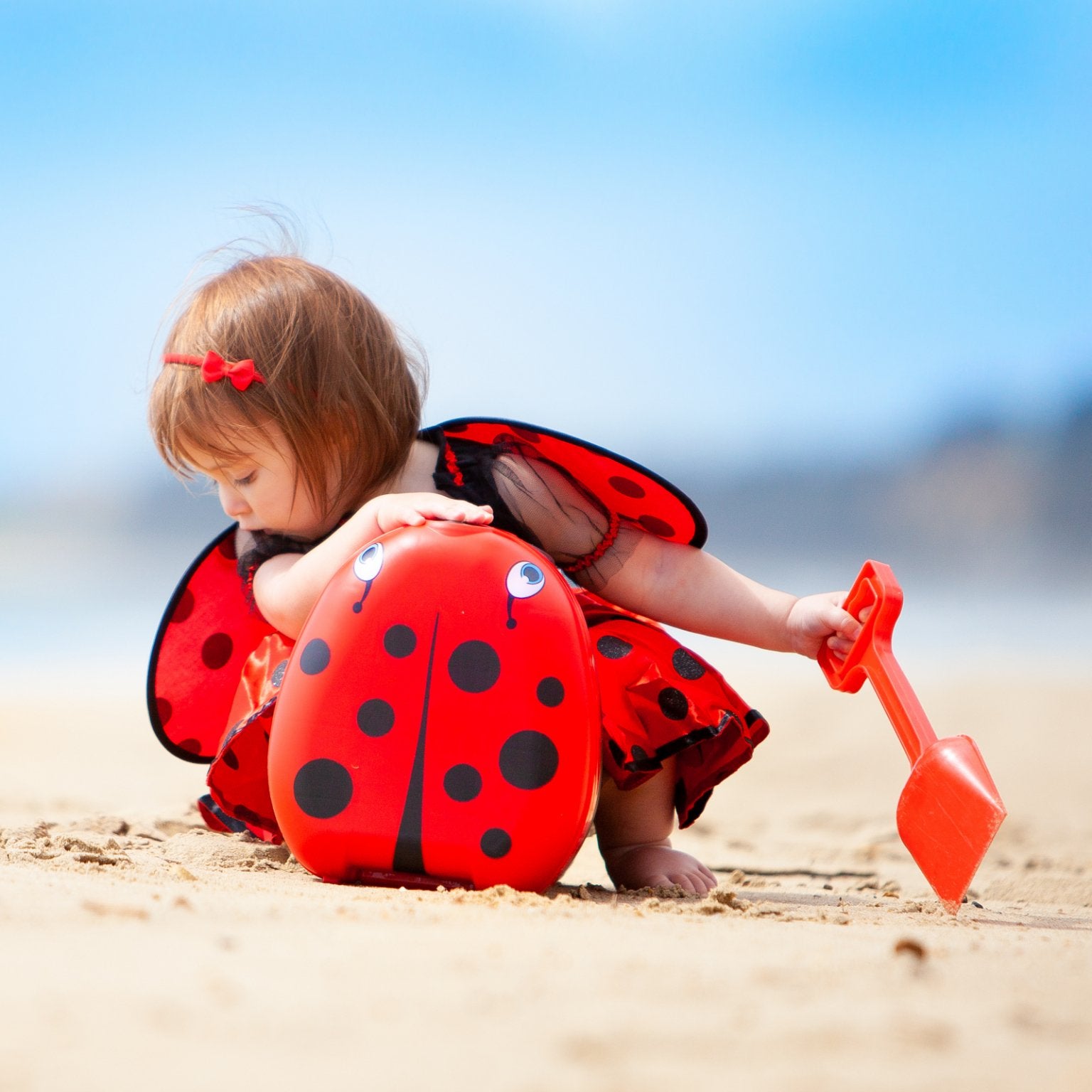 Potty, Training Seat and Step Stool - Ladybird – My Carry Potty®